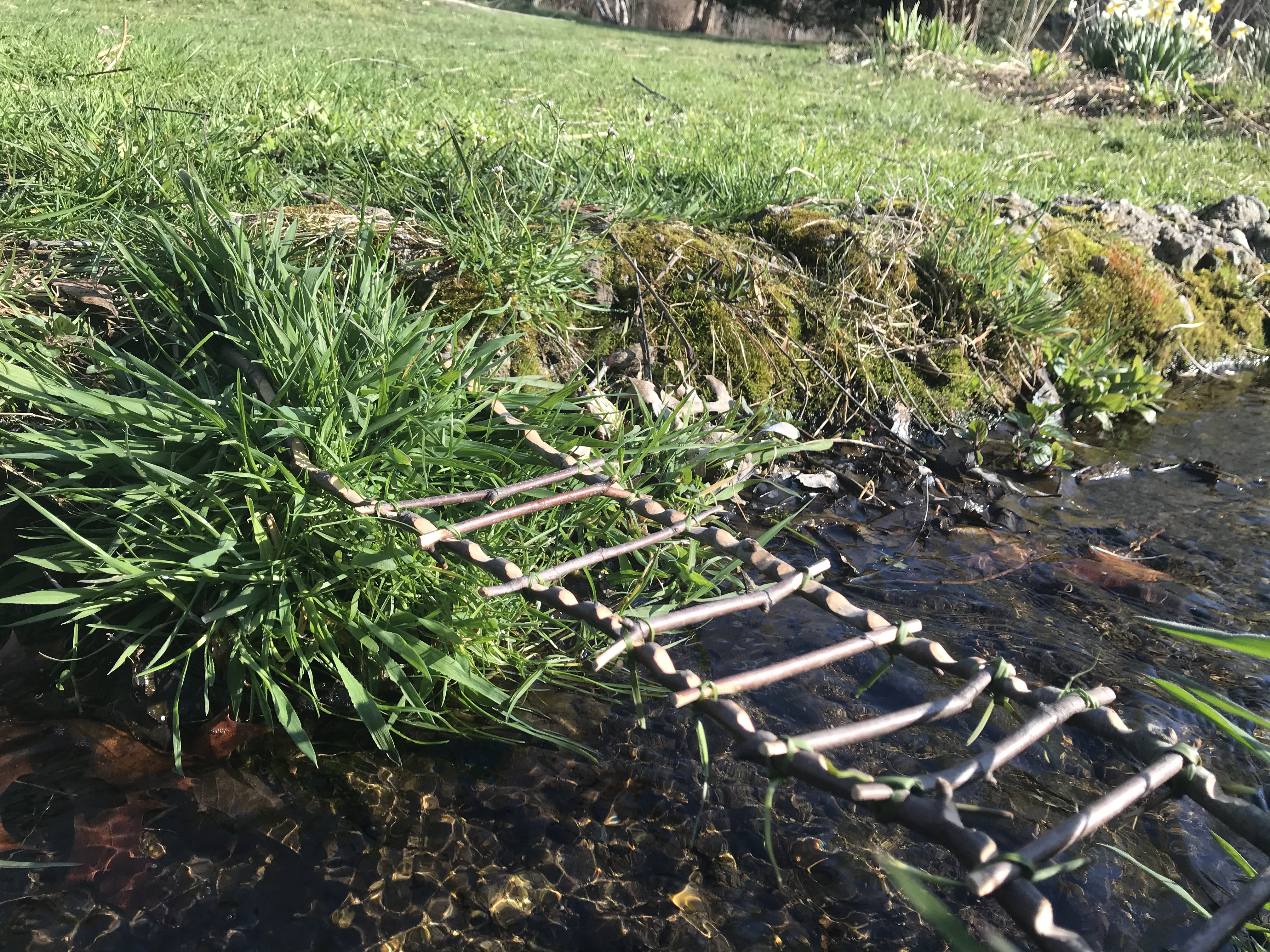 Woven Bridge – Mika Taga