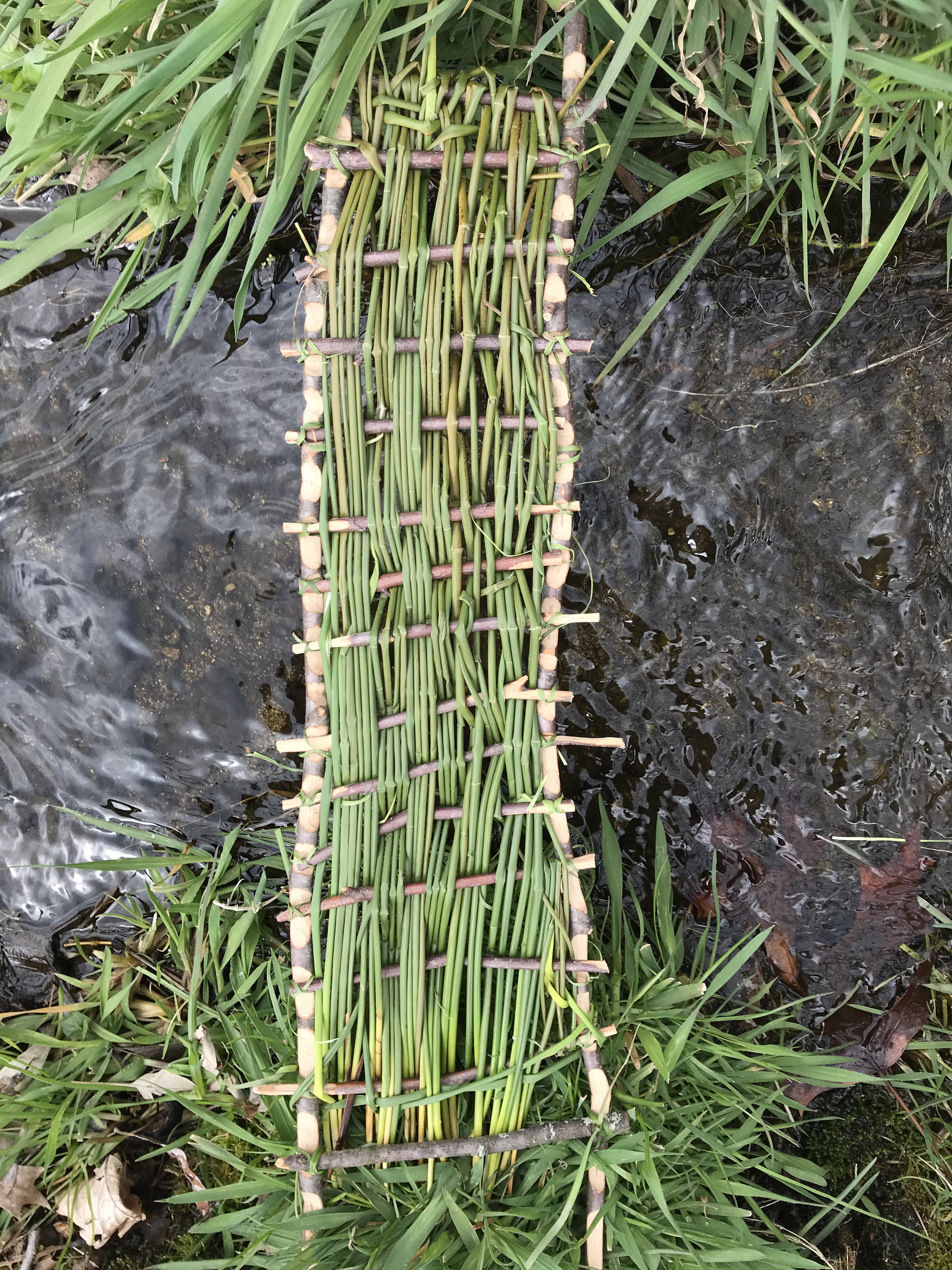 Woven Bridge – Mika Taga